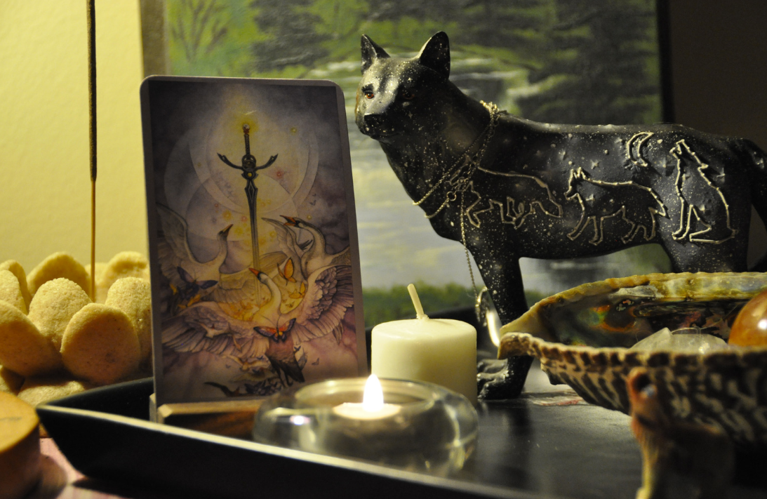 Getting a Pet Tarot Card Reading - Psychic Cards